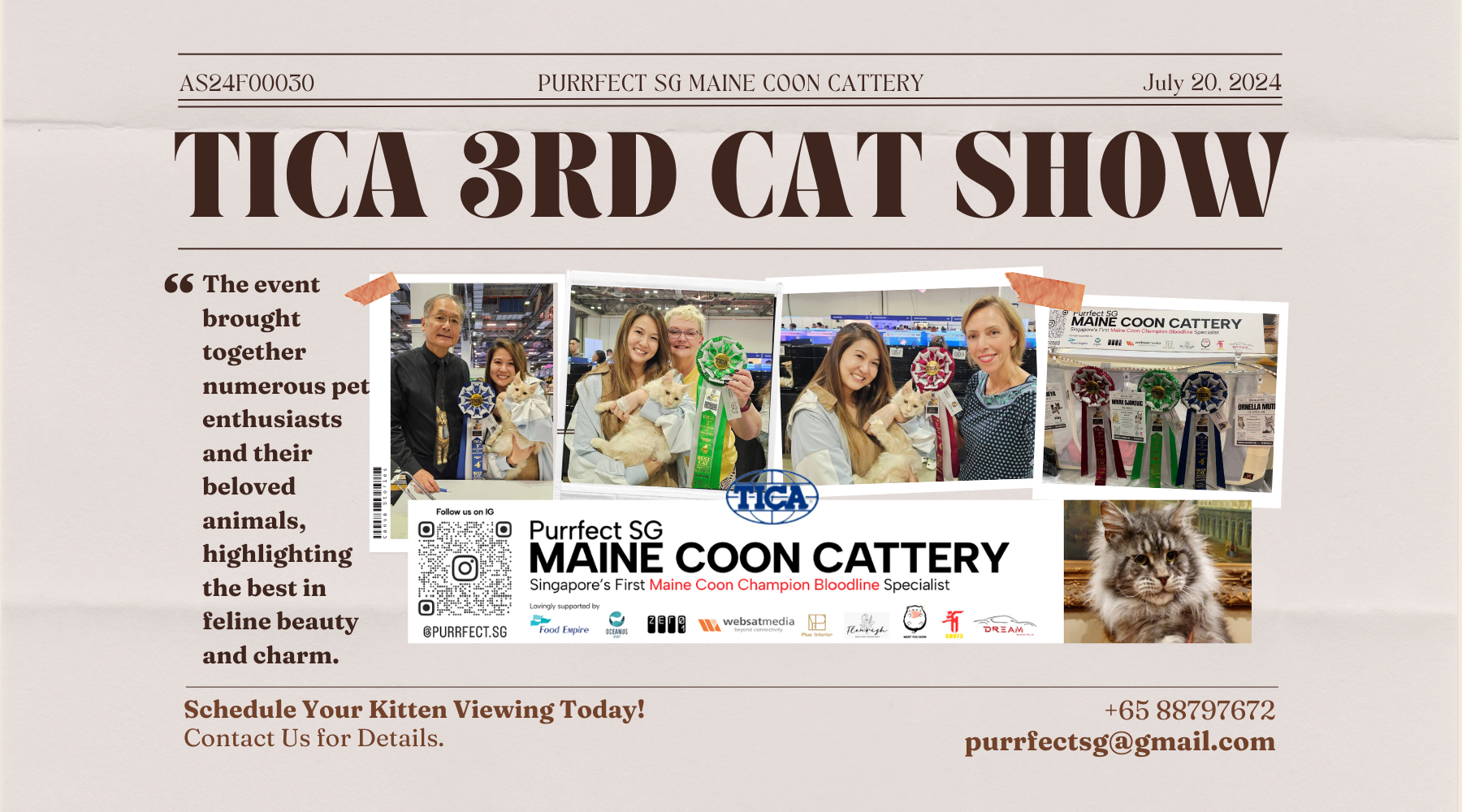 Purrfect SG Maine Coon Cattery Shines at TICA Cat Show 2024