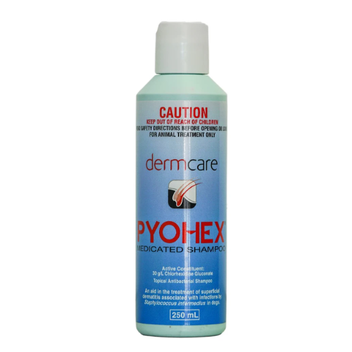 DERMCARE PYOHEX MEDICATED SHAMPOO – Purrfect SG